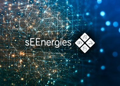 Energy Efficiency in Smart Energy Networks and Smart Grids | sEEnergies